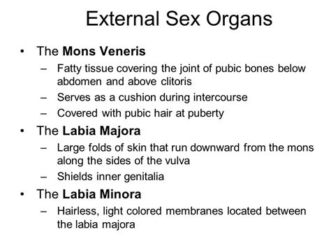 Female Anatomy And Physiology Ppt Video Online Download