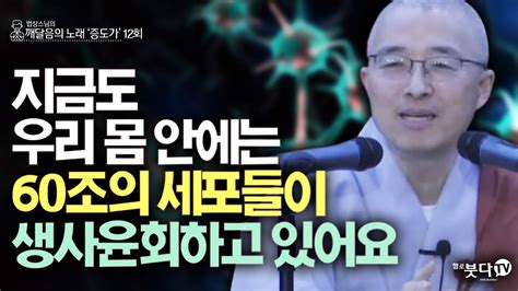 지금도 우리 몸 안에는 60조의 세포들이 생사윤회하고 있어요 법상스님의 증도가 12회6 2 분별 세상 깨달음 집착 고통 지혜 행복 현실 존재 인연 소통 인연