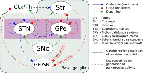 Model Of Stn Gpe Loop