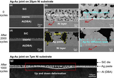 Microstructure Evolution Images Before And After Thermal Shock Cycles