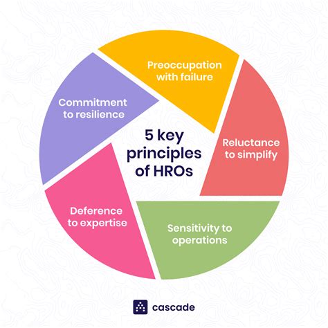 High Reliability Organizations Principles Strategies Examples
