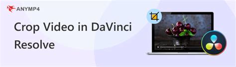 Handleiding Voor Het Bijsnijden Van Video S In DaVinci Resolve