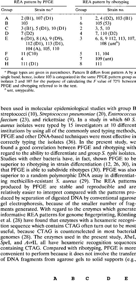 Comparison Between Rea Patterns From Pfge Following Digestion With Xbai