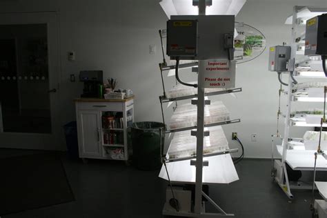 One Of 2017s Most Exciting Plant Conservation Moments Atlas Obscura One Of 2017s Most Exciting Plant Conservation Moments Atlas Obscura