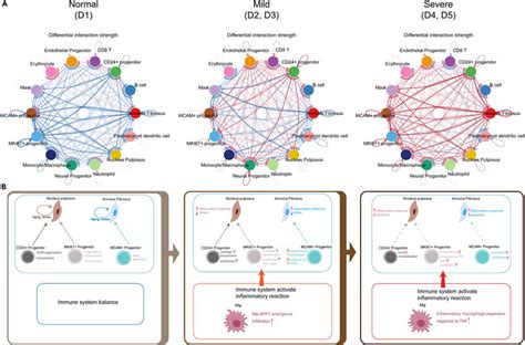 Overview Of The Intercellular Crosstalk Networks Among Np Cells Af