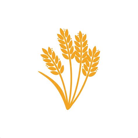 밀 귀 보리 또는 쌀 노란색 실루엣 맥주 또는 베이커리 로고 격리 요소 레이블 및 상징 빵 포장 장식 개체 익은 Spikelets 벡터 일러스트 레이 션에 대 한 유기 농장