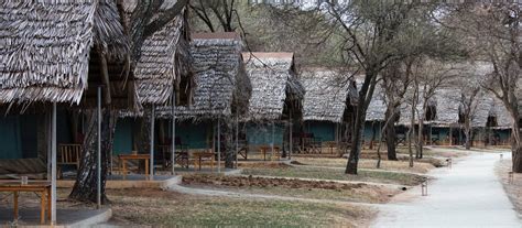 Tarangire Safari Lodge Easy Travel