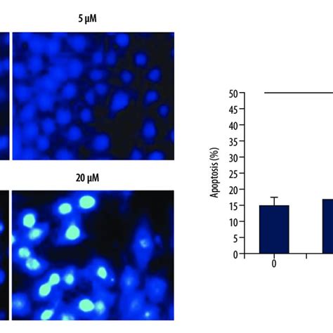 Flow Cytometry Images Showing Induction Of Apoptosis Of The Scc 1 Human