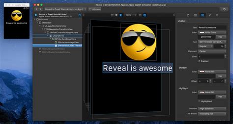 Inspecting Watchos Reveal