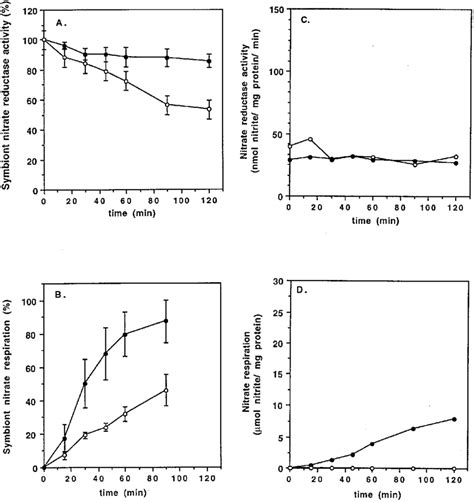 Nitrate Reductase Activities And Nitrate Respiration Rates Of Purified