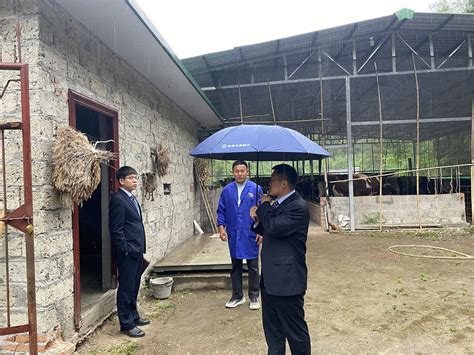 旬阳农商银行成功发放首笔“庭院经济贷” 安康市银行业协会