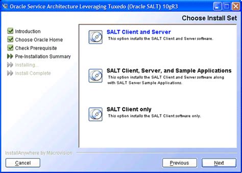 Oracle SALT GUI Mode Installation