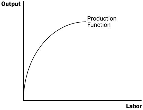 Production Function Poliztones