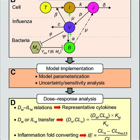 Study Framework And Computational Algorithms Used In This Study Notes