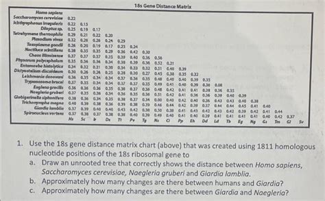 1 use the 18 s gene distance matrix chart above