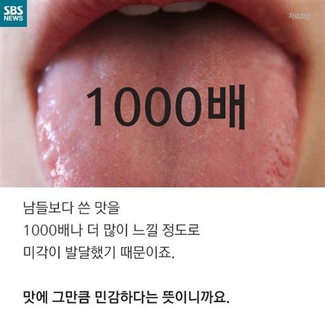오이를 싫어하는 사람은 더 발달된 사람이다 인스티즈 Instiz 이슈 카테고리