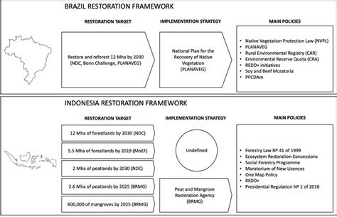 Diagram Showing The Restoration Framework Of Brazil And Indonesia The Download Scientific