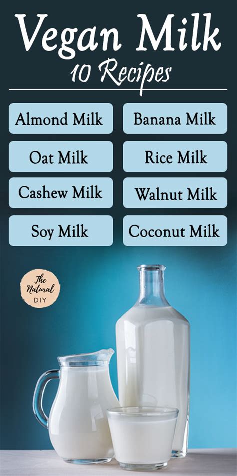 10 Vegan Milk Recipes The Natural Diy
