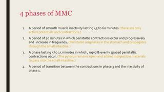 Migrating Motor Complex PPTX Biological Sciences Science
