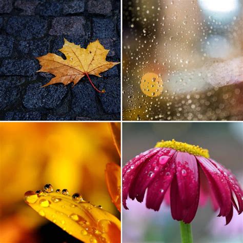 Elegant Chillout Smooth Jazz Vibe For Rainy Day Vibing Youtube Music
