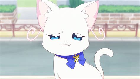 Wonderful Precure Anime Animeclickit