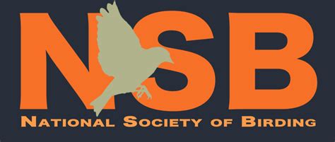 The Nsb On Flickr Photos 141427360 … By Nationalsocietyofbirding Medium
