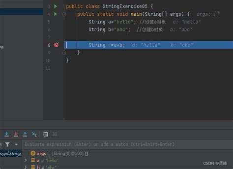 常用类详解（一）包装类和string类详解string的包装类 Csdn博客