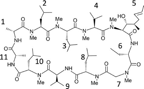 Chemical Structure Of Cyclosporine A Download Scientific Diagram