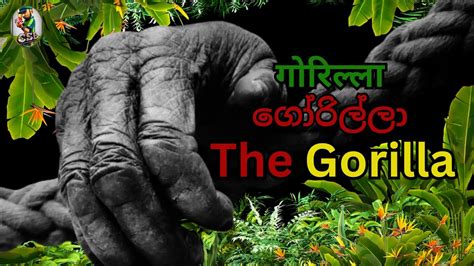 The Gorilla [ ගෝරිල්ලා गोरिल्ला ] Youtube