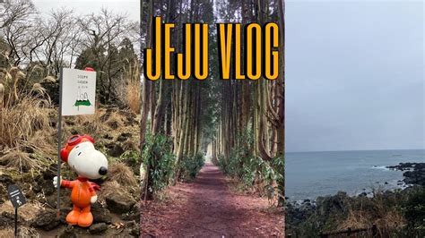 제주도 브이로그 겨울제주도여행3박4일스누피가든안돌오름킹더랜드촬영지우뭇개해안 YouTube