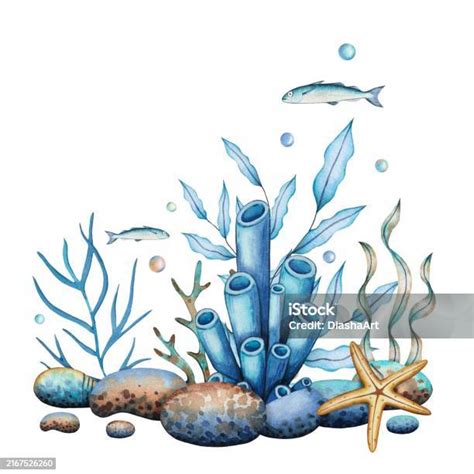 산호 돌 불가사리 물고기와 해양 구성 수중 세계 수채화 그림 구도에 대한 스톡 벡터 아트 및 기타 이미지 구도 기포 깊은 Istock