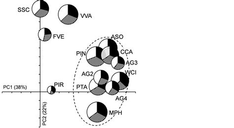 Mycofungicide Trichoderma Based Preparation For Foliar Applications