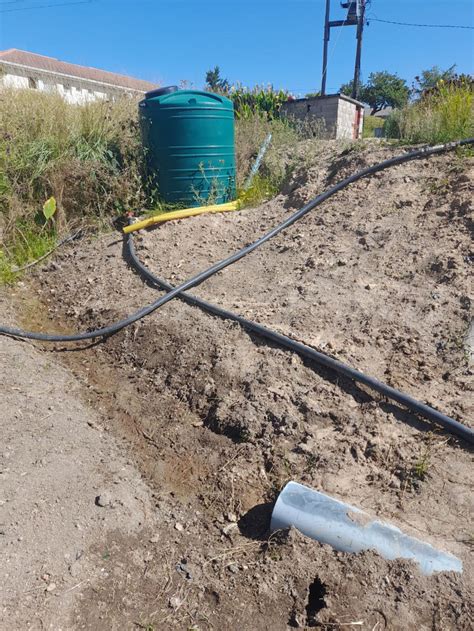 Farming With Purpose Rooted In Legacy Casidra Cape Agency For