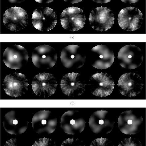 Cross Sectional Slices Of The 3d Object Space Fov For A 10 Mm B Download Scientific