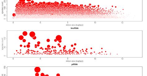 One Tip Per Day Bubble Plot In R