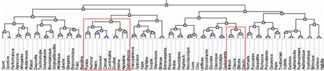 the clustering of the semantic adjectives in french download