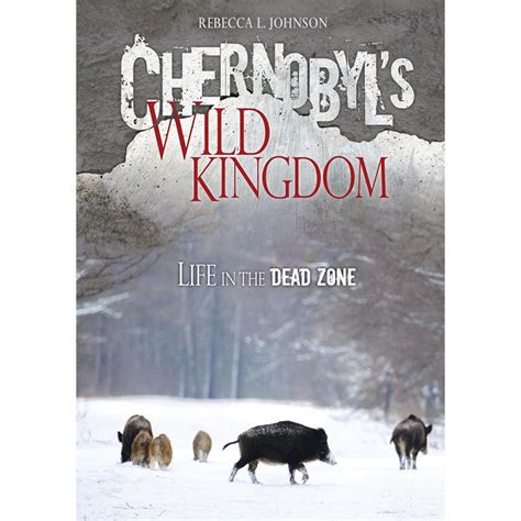 The Dogs Of Chernobyl Could Be Experiencing Rapid Evolution One Study