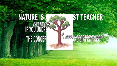 Presentation Tree Traversal Ppt