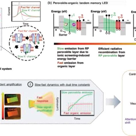 Neuromorphic Control System Based On Organic‐perovskite Tandem Memory