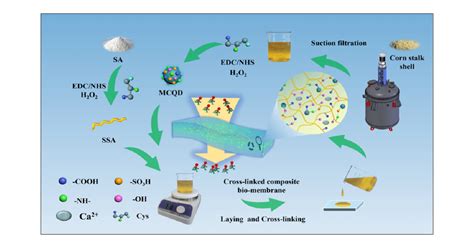 Development And Utilization Of Polyelectrolyte Membranes Based On