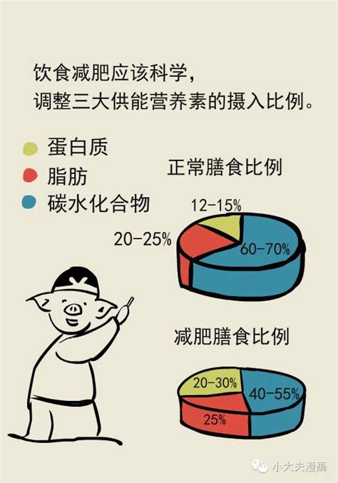 科学饮食配比科学饮食搭配大山谷图库