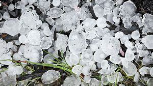 7 Tips For Protection Of Solar Panels From Hail EyouAgro