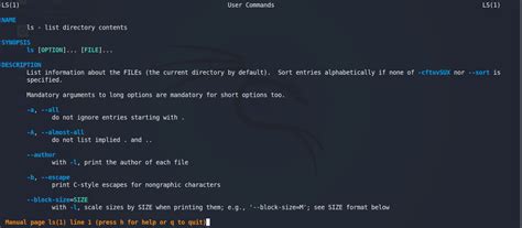 Top Kali Linux Basic Commands Updated