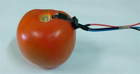New Biodegradable Sensor Aids In Food Safety And Pesticide Detection On Fruits And Veggies