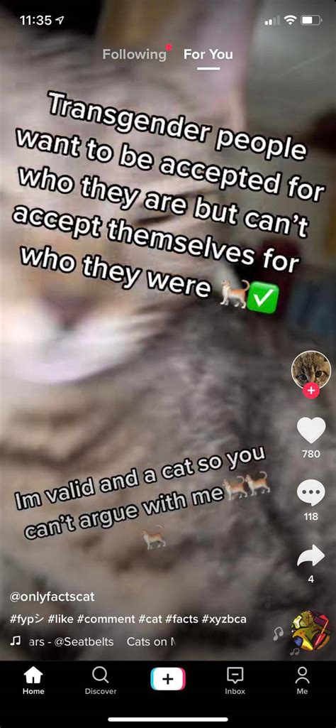 “only Facts Cat” Strikes Again Scrolller