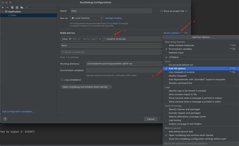 Intellij Idea 如何开启预览特性 Imlcme