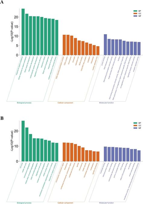 The Go Analysis Based On Rna Sequencing The Enriched Go Terms For The Download Scientific