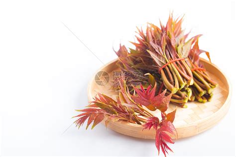 新鲜蔬菜香椿高清图片下载 正版图片501228731 摄图网