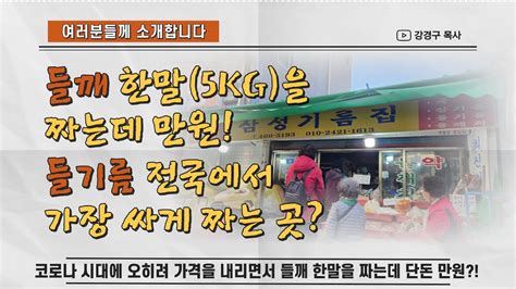 들깨 한말을 짜는데 만원 들기름 전국에서 가장 싸게 짜는 곳을 소개합니다 Youtube