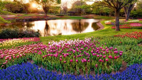 배경 화면 정원 자연 공원 플로라 목초지 야생화 잔디 삼림지 식물학 육상 식물 꽃 피는 식물 식물원 2200x1238 Sergiucoj